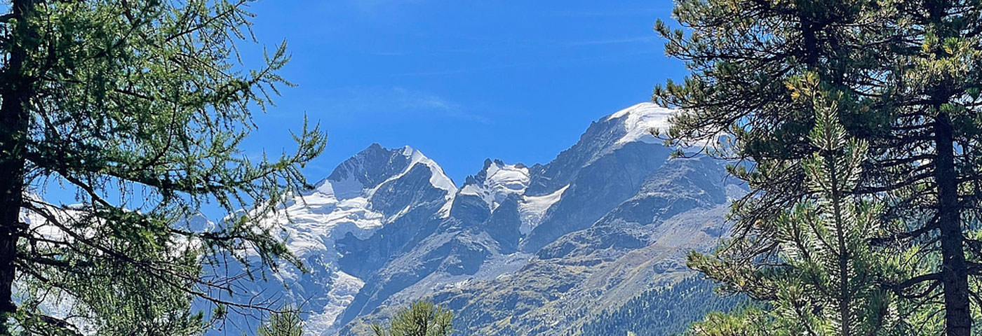 Ospizio Bernina - Morteratsch | wanderstutz.ch