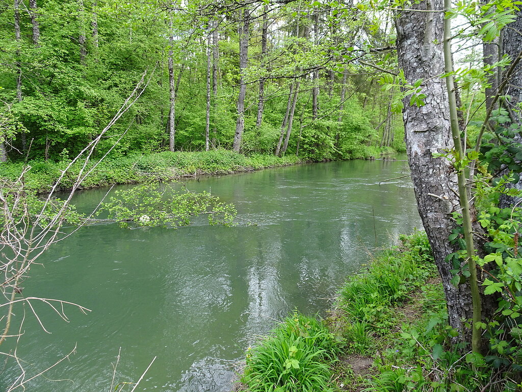 Dotzigen - Aarberg | wanderstutz.ch